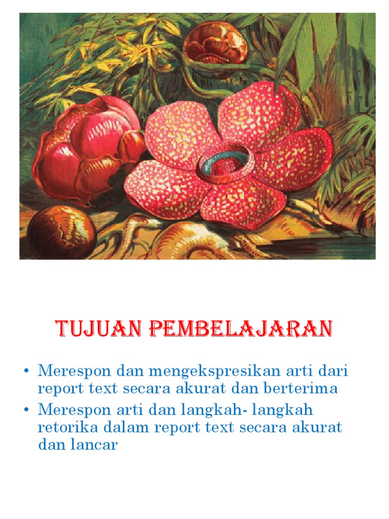 Teks Report - Tugas Siswa | PDF | Flowers | Plants