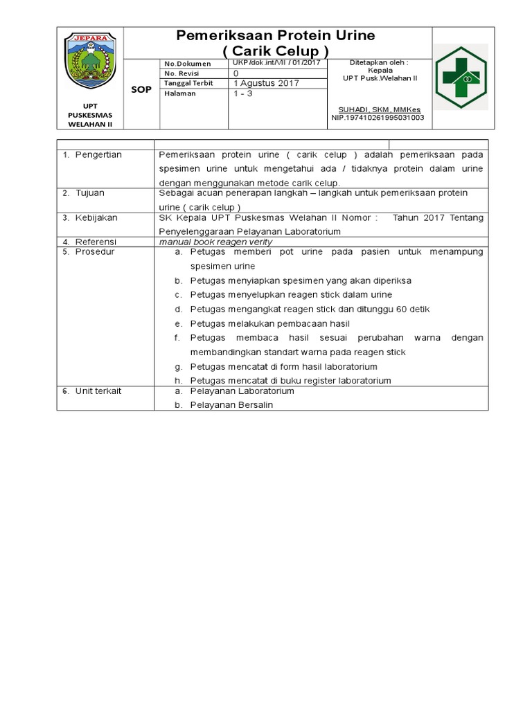 Pemeriksaan Protein Urin (Stick) | PDF