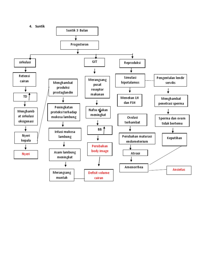 Pathway Kb Suntik Pdf