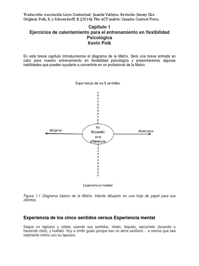 Matriz ACT | PDF | Aikido | Sicología