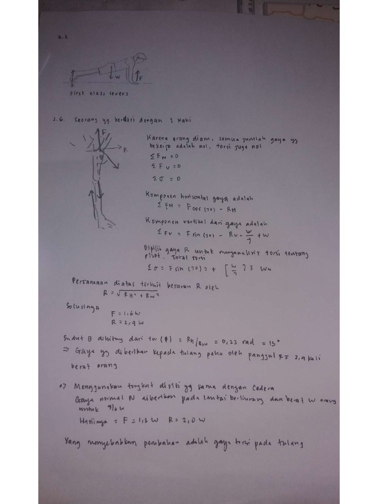 (BAB 2) Ladinna Amanda Sari PDF | PDF