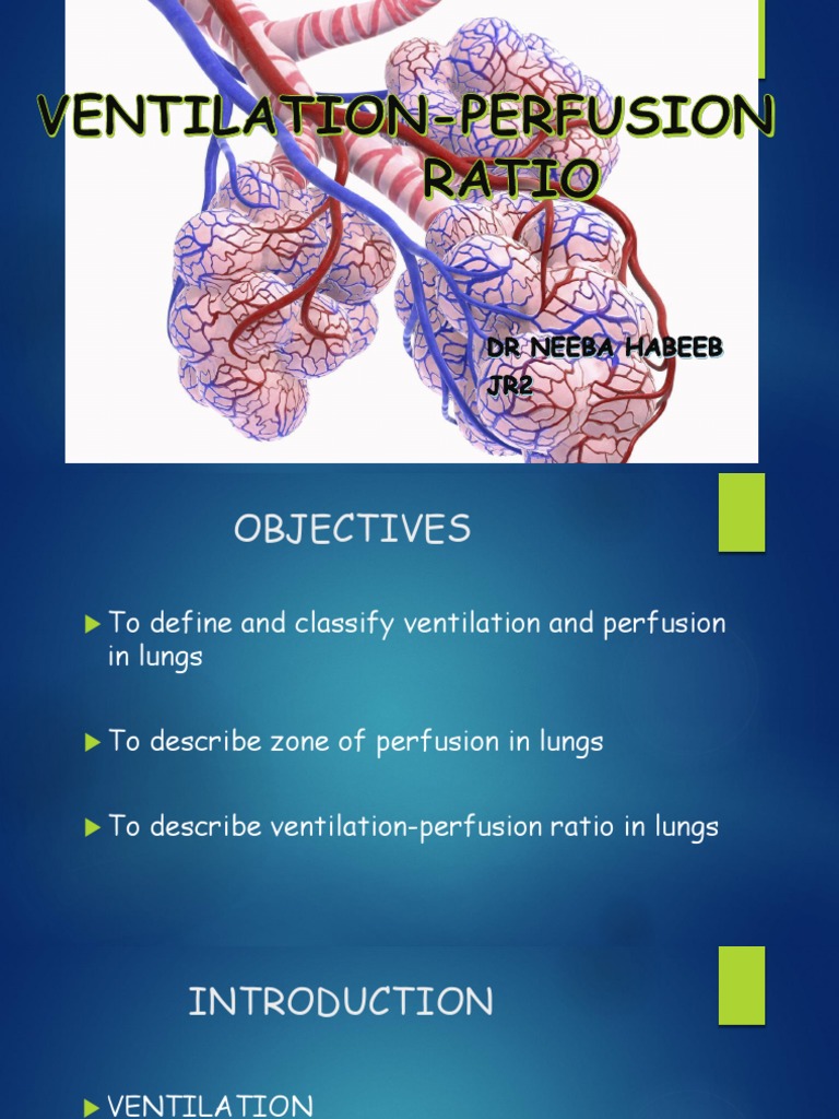 Ventilation-Perfusion Ratio | PDF | Lung | Respiratory System