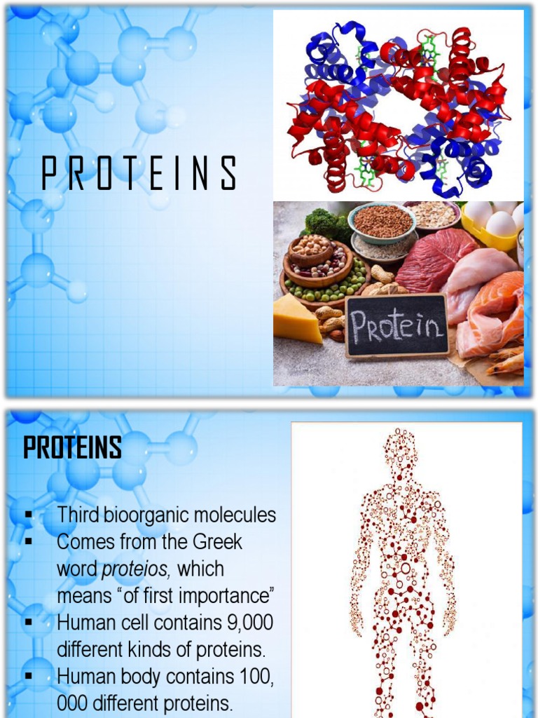 Examples Of Proteins In The Body
