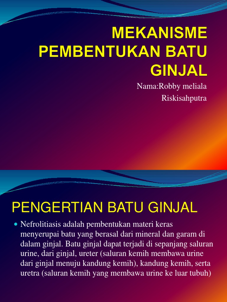 Mekanisme Pembentukan Batu Ginjal | PDF