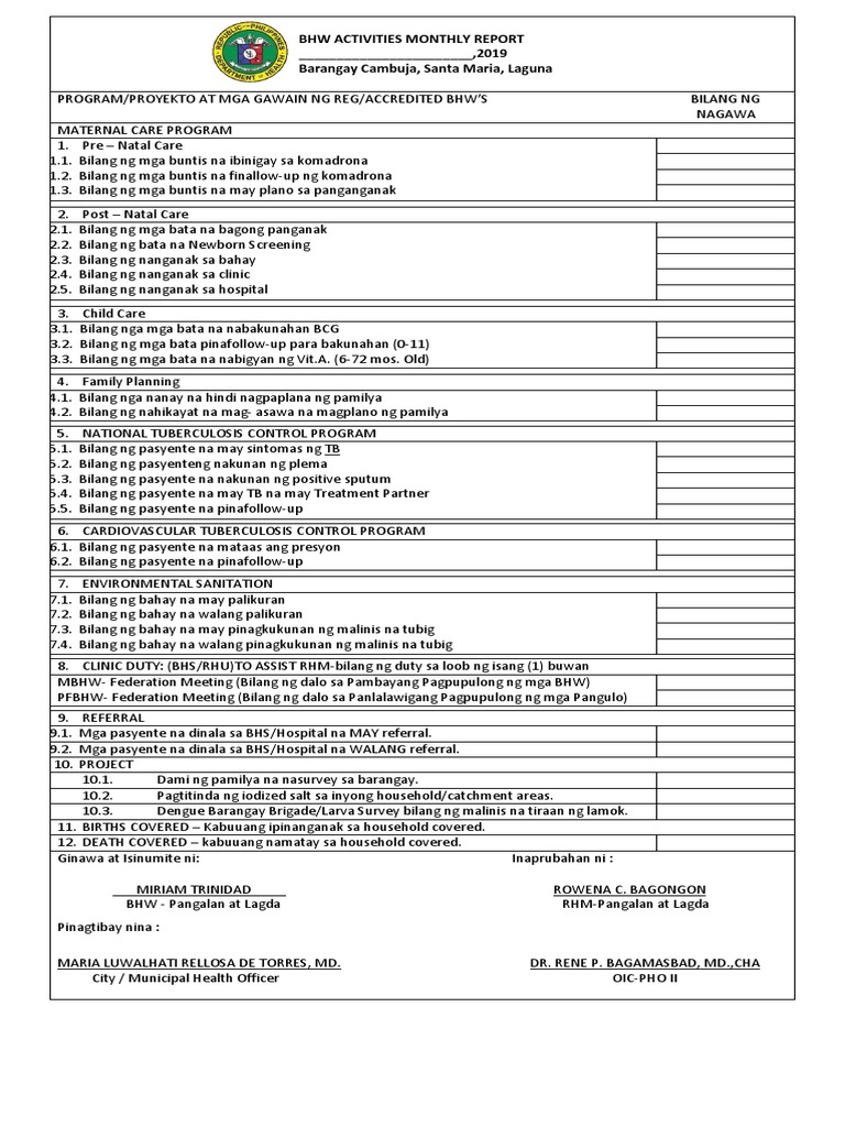 BHW Activities Monthly Report | PDF