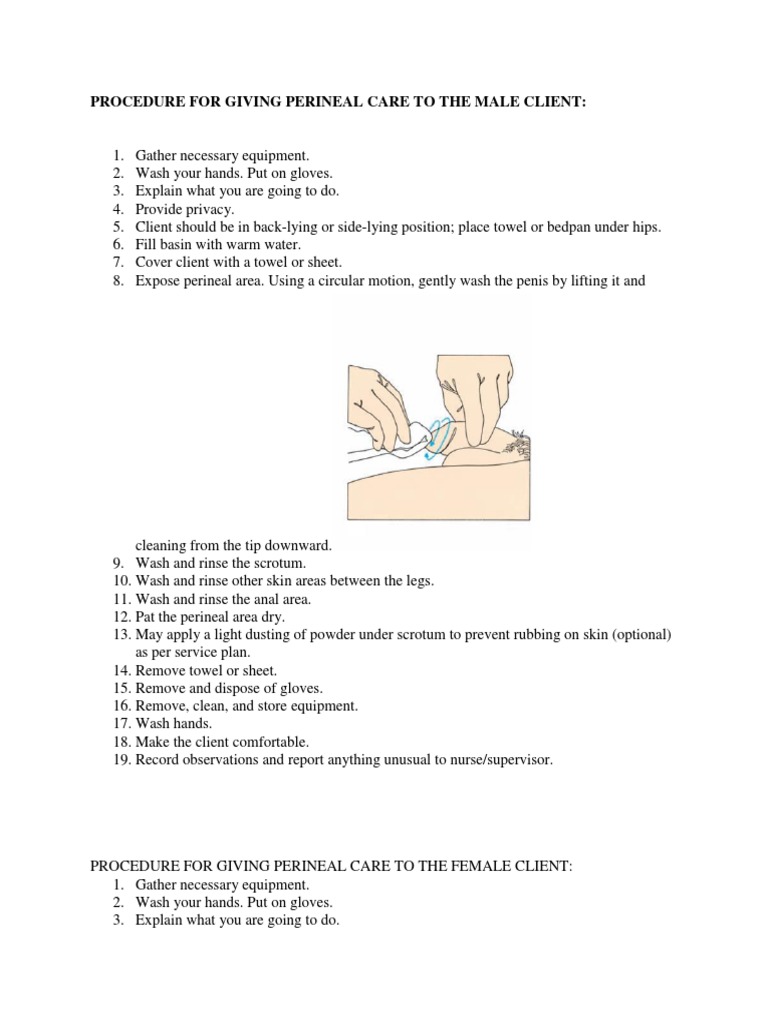 Male Perineal Care Procedure Steps | PDF | Nature