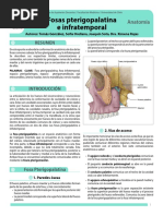 Anatomía de la Fosa Cigomática | PDF | Anatomía | Cabeza y cuello humanos