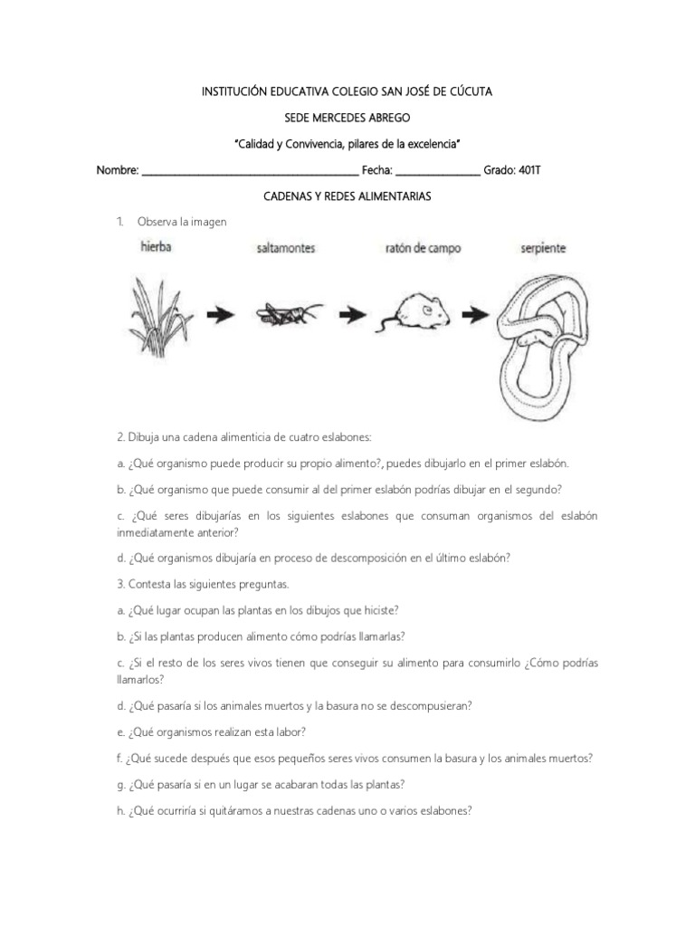 Cadenas y Redes Alimentarias | PDF