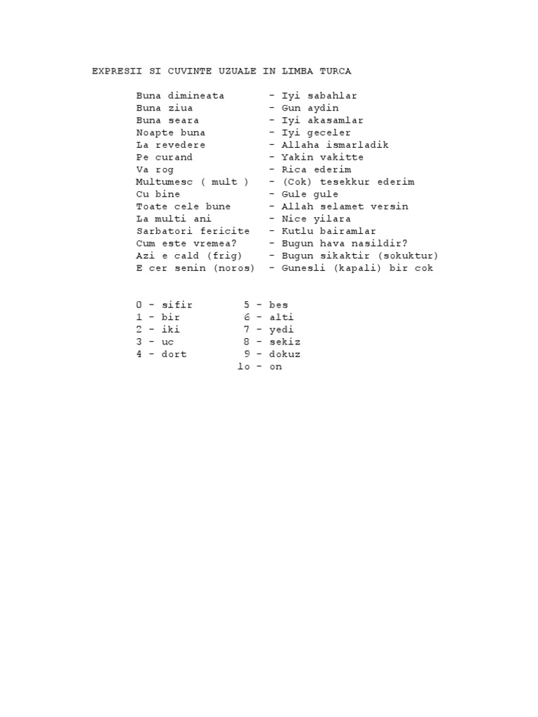 Expresii Si Cuvinte Uzuale in Limba Turca | PDF