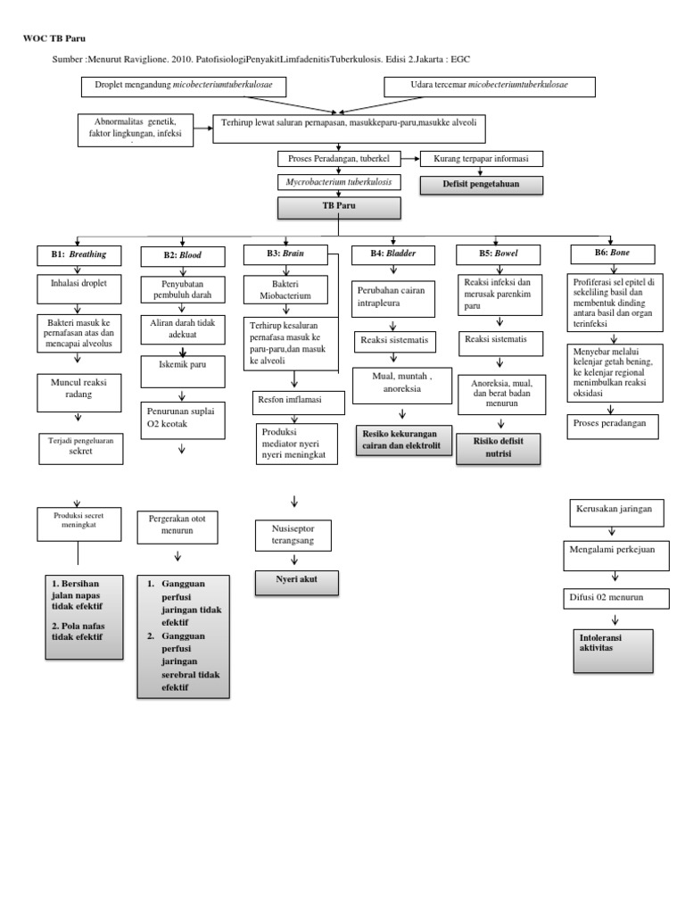 WOC TB PARU Garden Acc | PDF