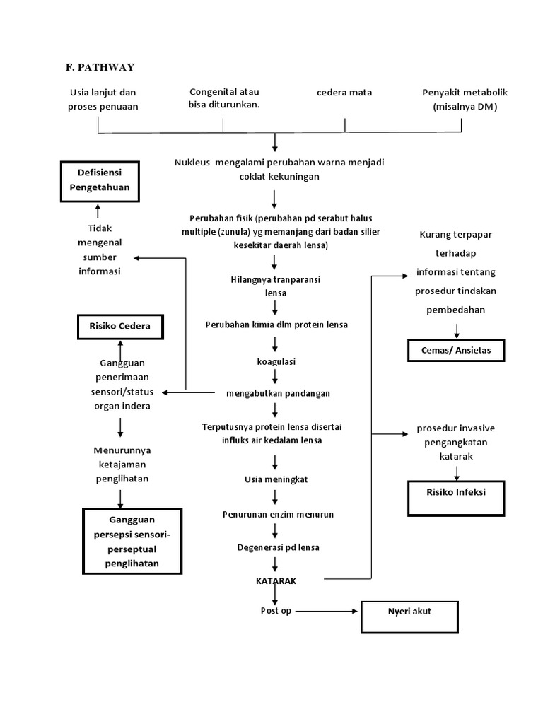 Pathway Katarak | PDF