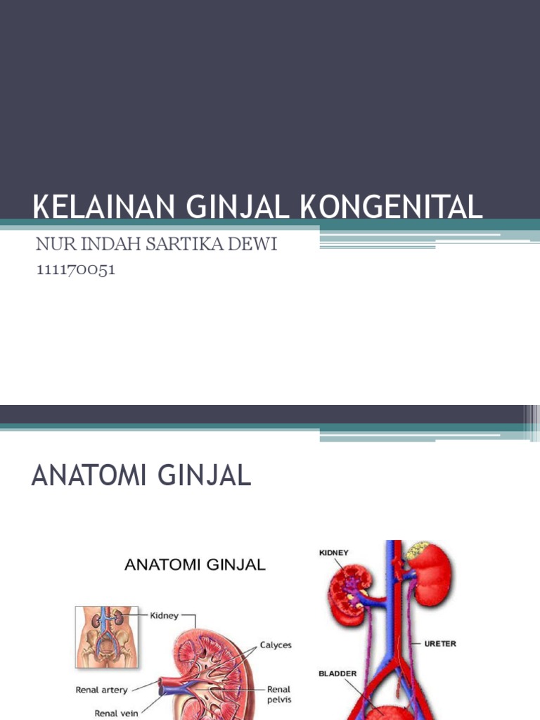 Kelainan Ginjal Kongenital | PDF