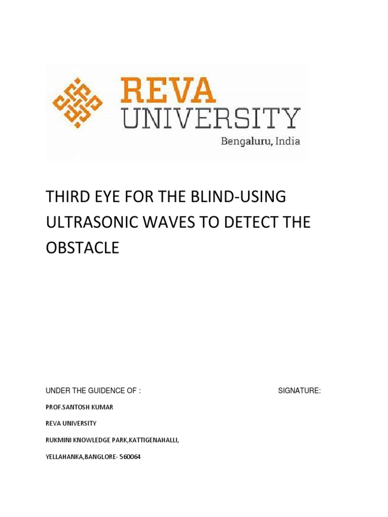 Third Eye For The Blind | PDF | Arduino | Visual Impairment