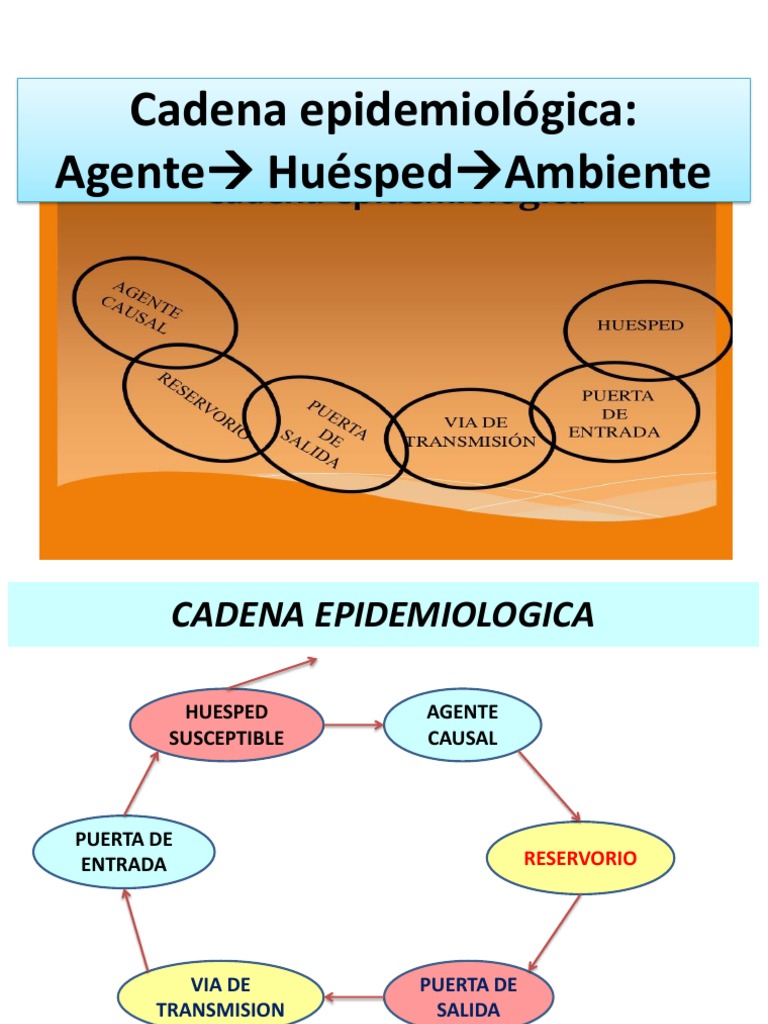 5 Cad Epidem | PDF | Epidemiología | Virus