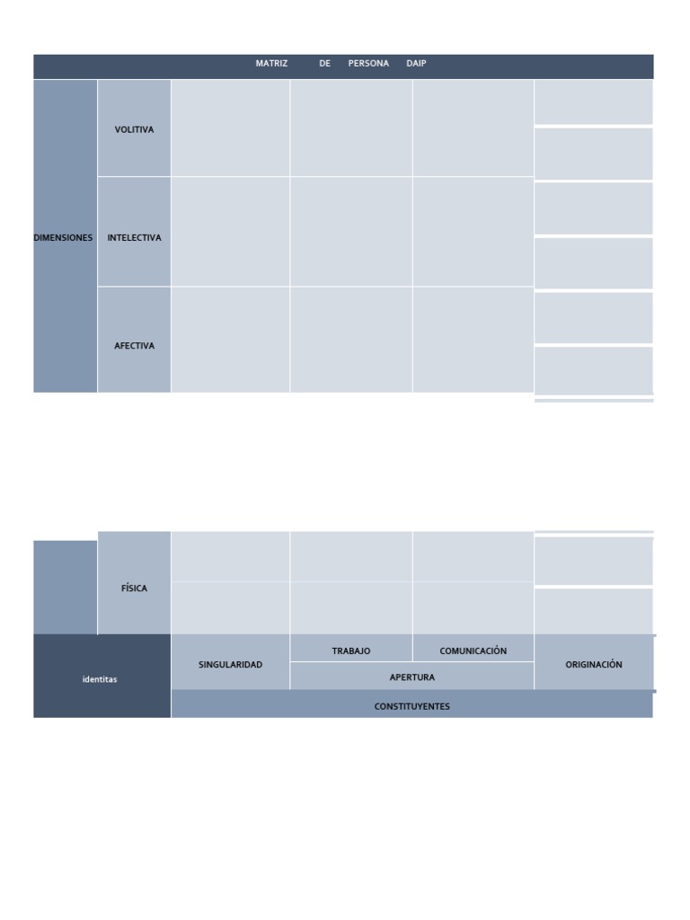 Plantilla Matriz DAIP | PDF