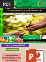 Módulo 17 Proyecto Integrador | PDF