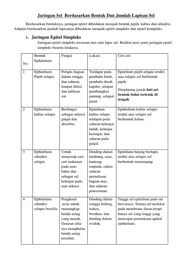 Jaringan Sel Berdasarkan Bentuk Dan Jumlah Lapisan Sel | PDF