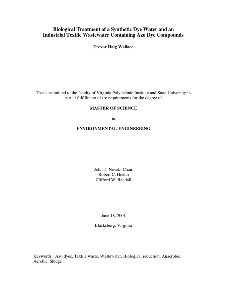 Thesis Master Document | PDF