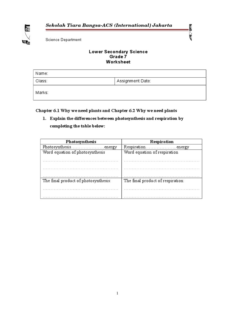 ACS Grade 7 Worksheet Chapter 6.1 and 6.2 | PDF | Leaf | Anatomy