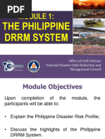 3 - Introduction To DRRMIS | PDF | Information Science | Software