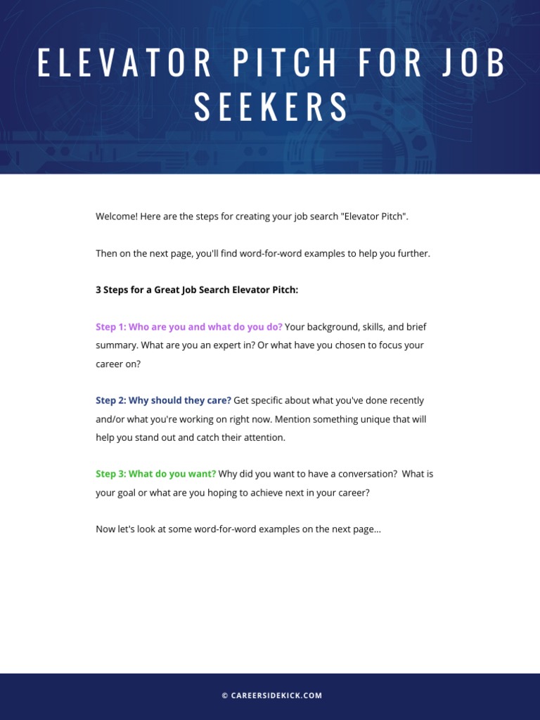 Elevator Pitch Script | PDF