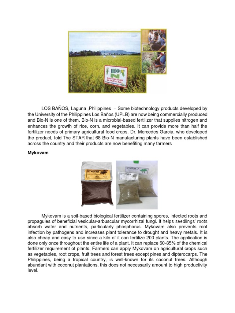 UPLB's Bio-N and Mykovam Fertilizers | PDF | International Rice ...
