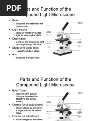 Microscope Parts And Definitions