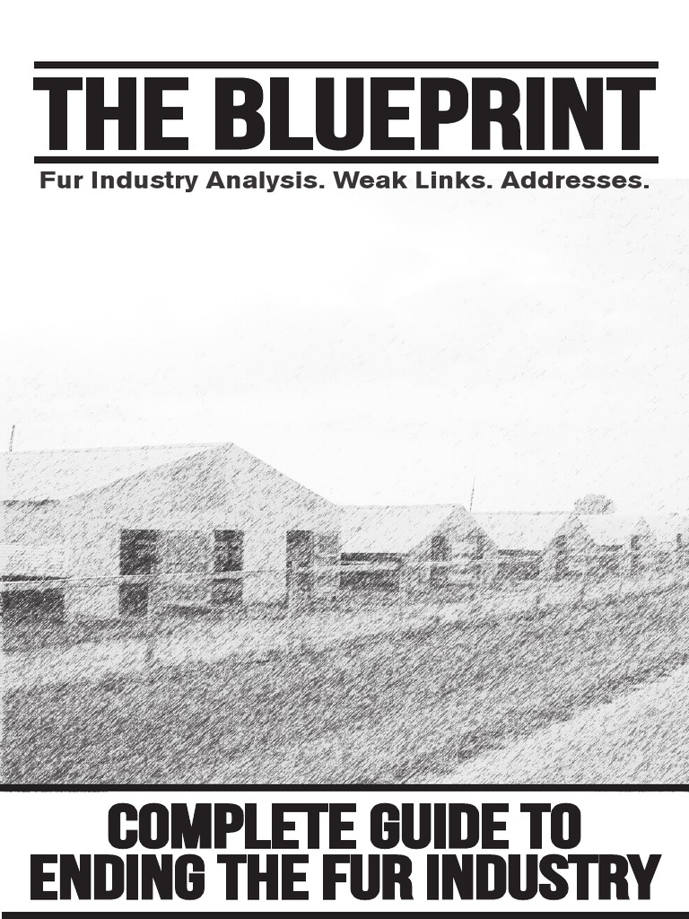 The Blueprint: Ending The Fur Industry, A Complete Guide (Updated For ...