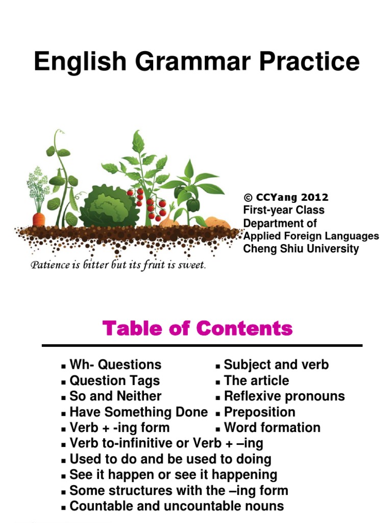 English Grammar Practice | PDF | English Grammar | Plural