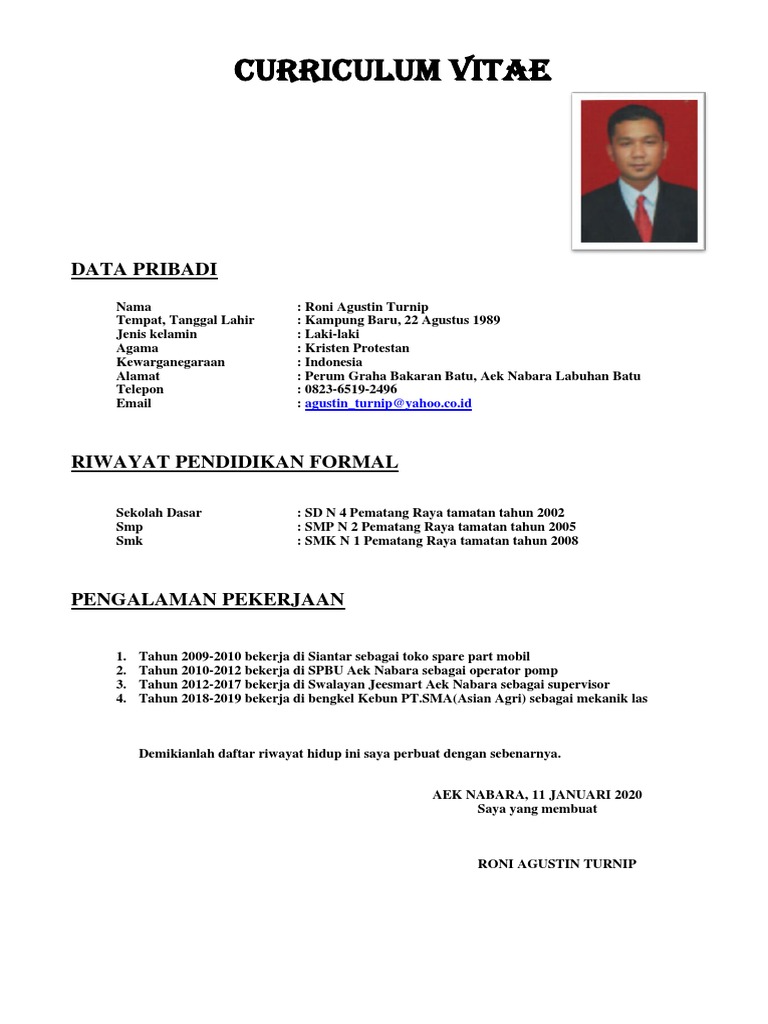 Curriculum Vitae Roni | PDF