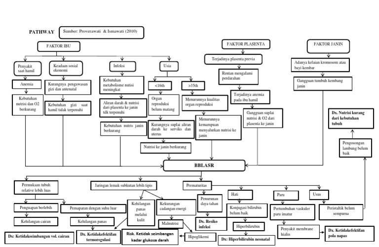 Pathway Bblasr | PDF