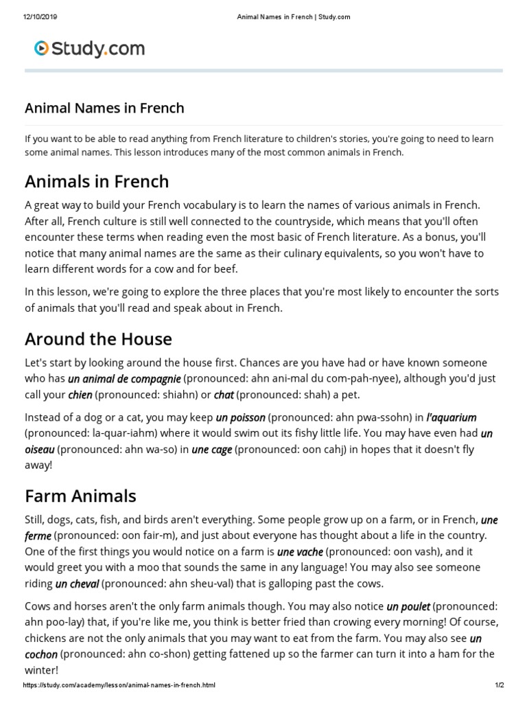 Animal Names in French | PDF | Animals And Humans | Organisms