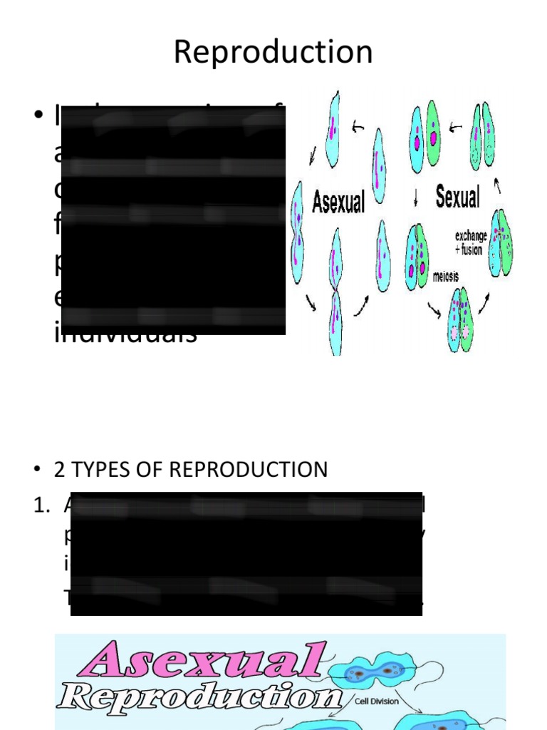 Asexual and Sexual Reproduction Guide | PDF | Sexual Reproduction ...