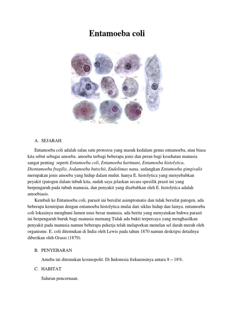 Entamoeba Coli: Fakta dan Pencegahan | PDF