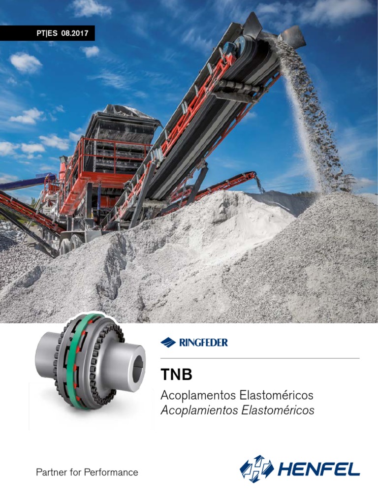 Catálogo RINGFEDER-TNB - PT-ES - 29-08-17 | PDF | Torque | Poliuretano