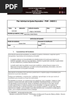 Ejemplo de PIAR | PDF