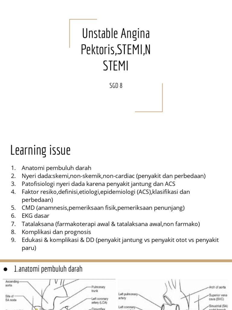 Unstable Angina, STEMI, NSTEMI | PDF