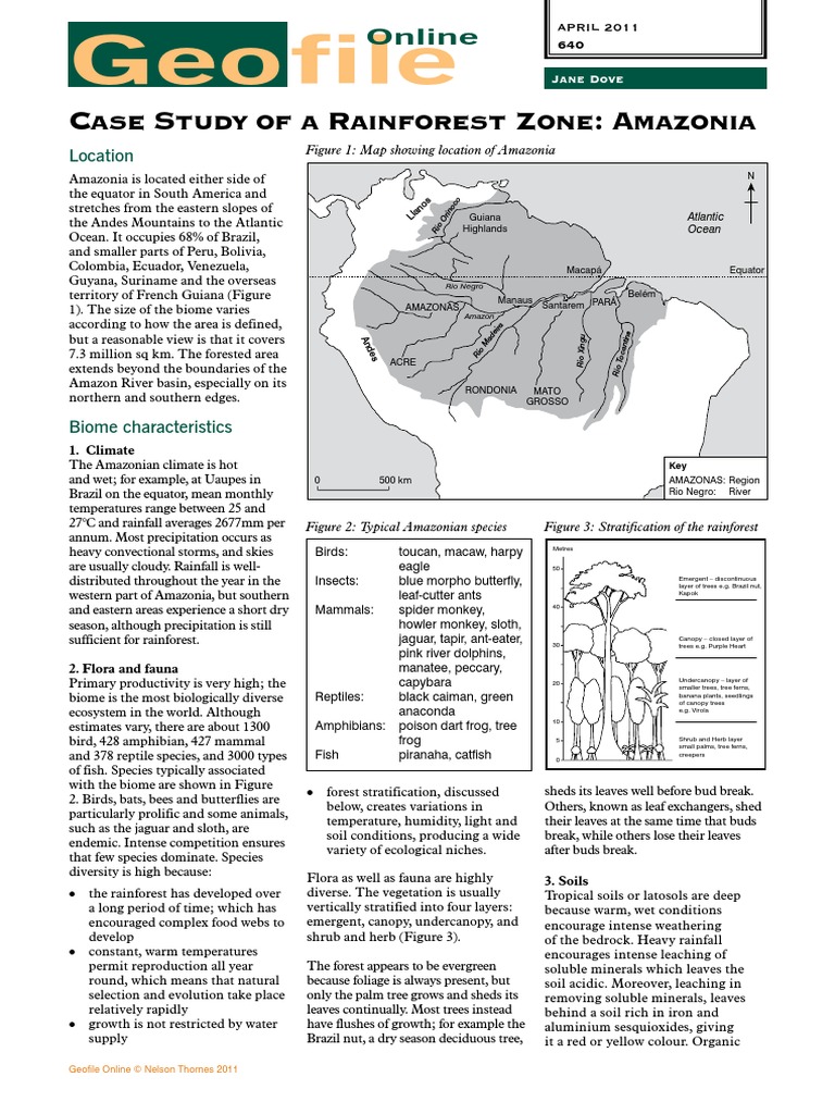 Geofactsheet Amazon Rain Forest | PDF | Amazon Rainforest | Deforestation