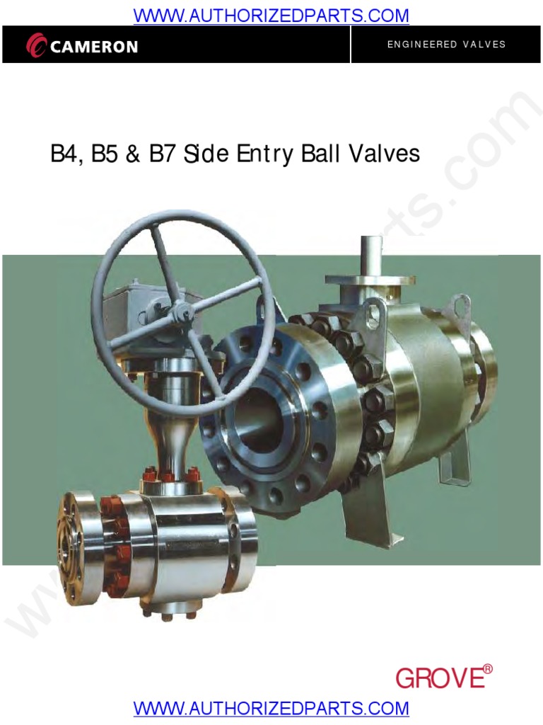 Grove B5 | PDF | Valve | Bearing (Mechanical)