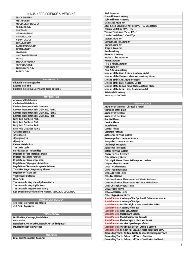 Ninja Nerd Science & Medicine | PDF | Circulatory System | Vein