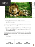 ASTM D 1693 - 01 Stress Cracking | PDF | El plastico | Probabilidad