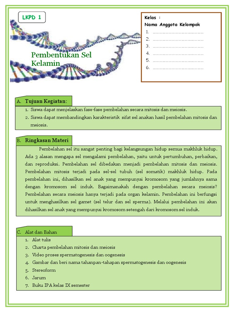 LKPD 1 - Pembelahan Sel | PDF