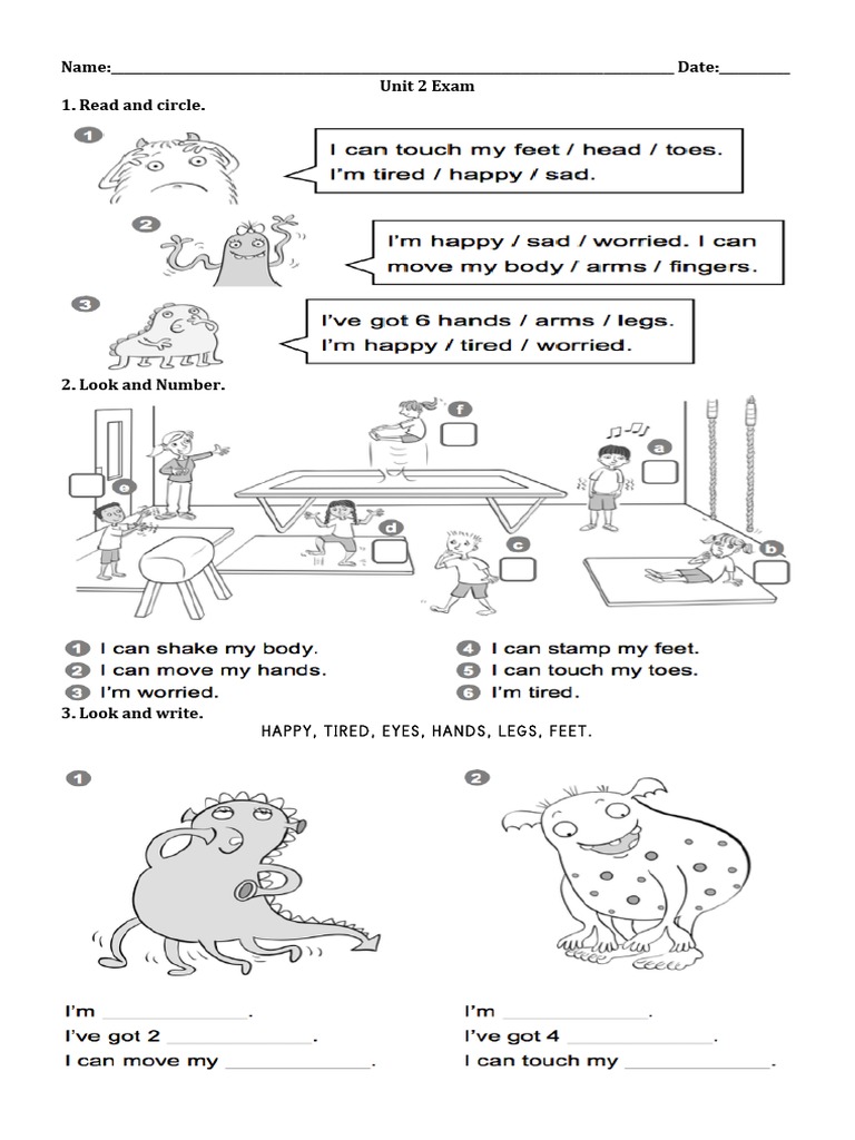 Body Parts Exam 1st Grade of Primary Education | PDF