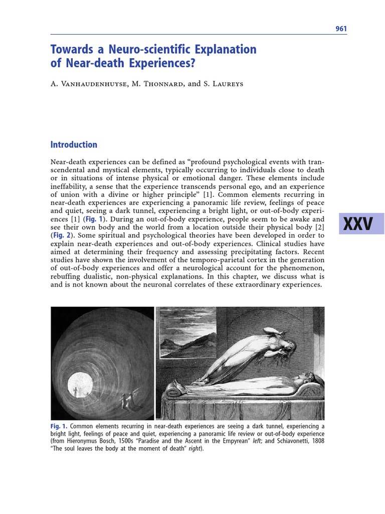 Neuroscience of Near-Death Experiences | PDF | Myocardial Infarction ...