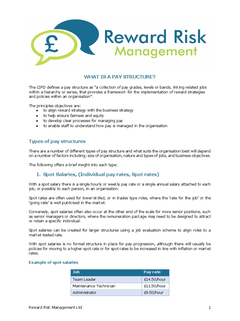 Types of Pay Structure | PDF | Employment | Salary