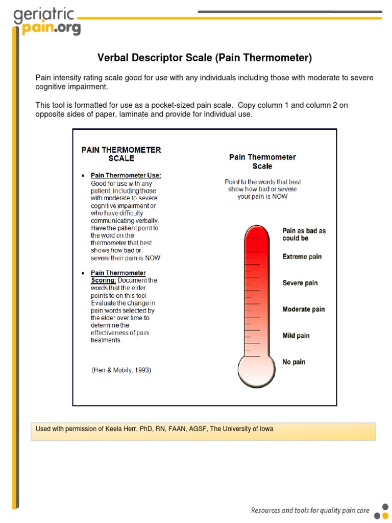 Verbal Descriptor Scale (VDS) - Geriatric | PDF