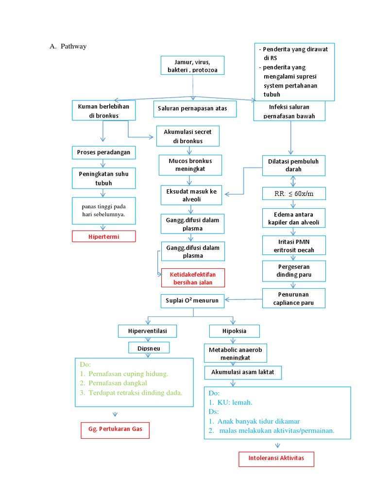 LP & Pathway Pneumonia | PDF