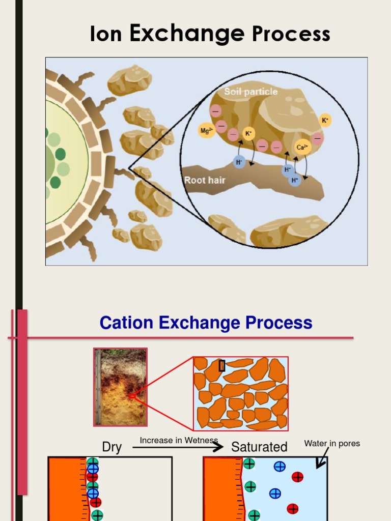 Cation Exchange | PDF | Soil | Chemical Substances