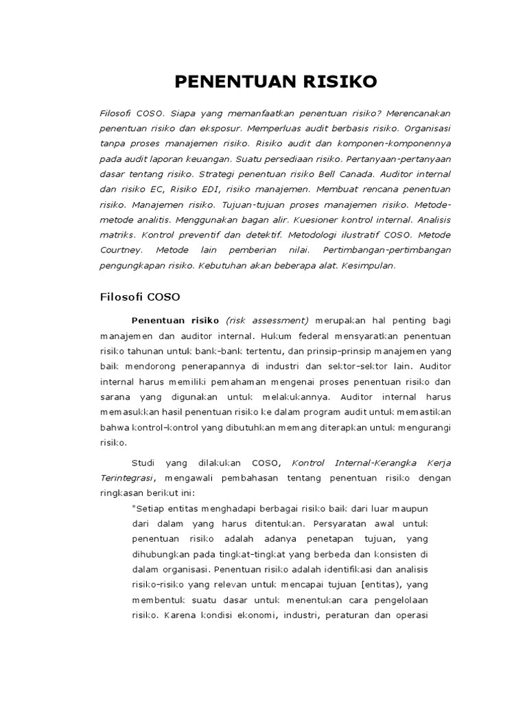 Makalah Audit Internal Penentuan Risiko | PDF