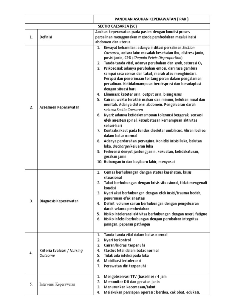 PANDUAN ASUHAN KEPERAWATAN Sectio Secaria Untuk RSIA BJ Contoh | PDF